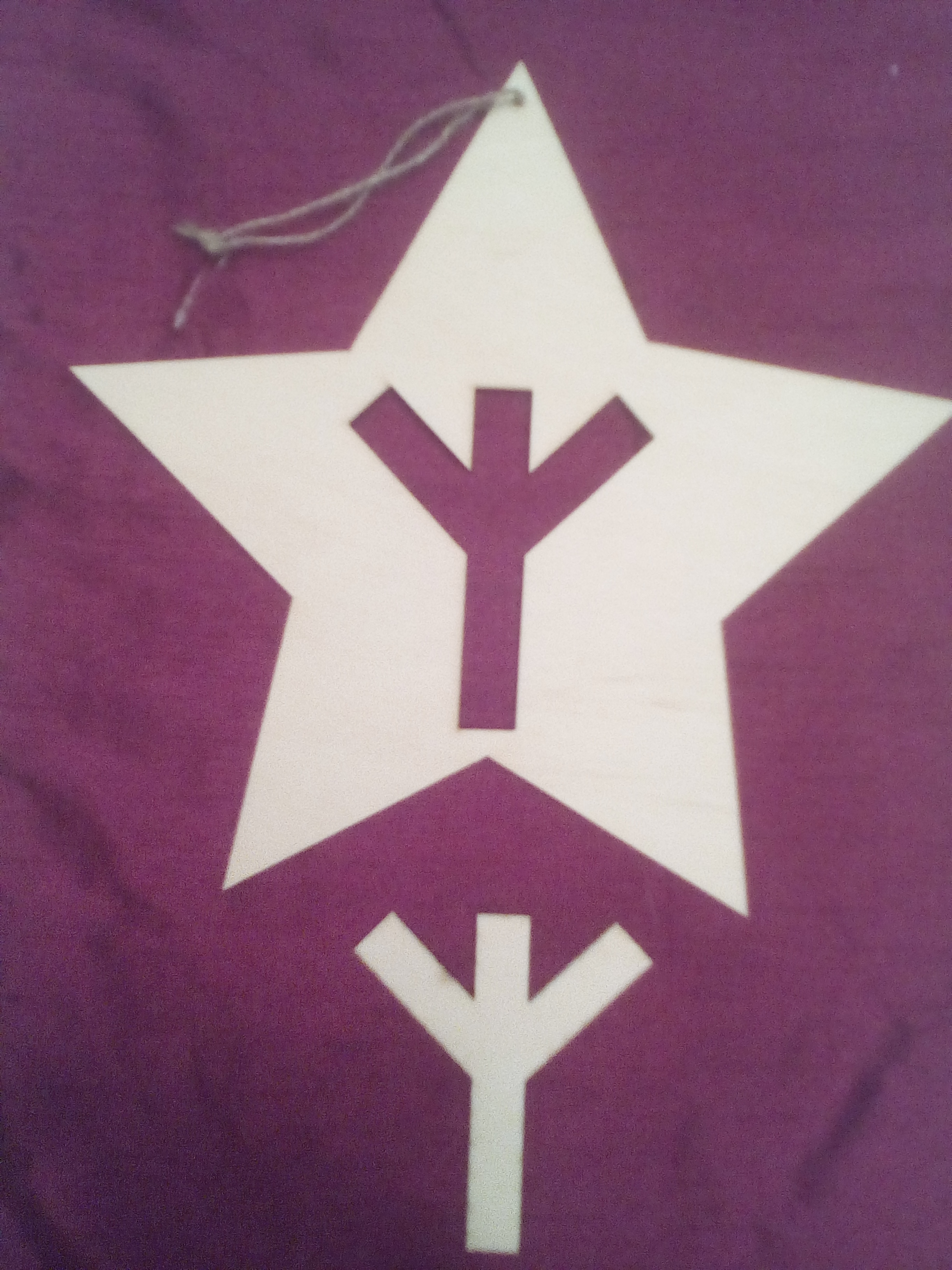 Wooden Star Life Rune | Third Reich Posters
